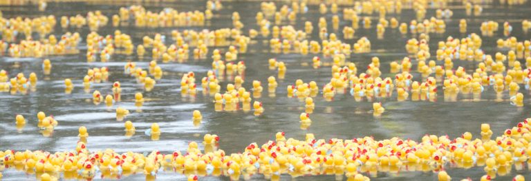 Duck Race Winners 2020 - Blackrock College